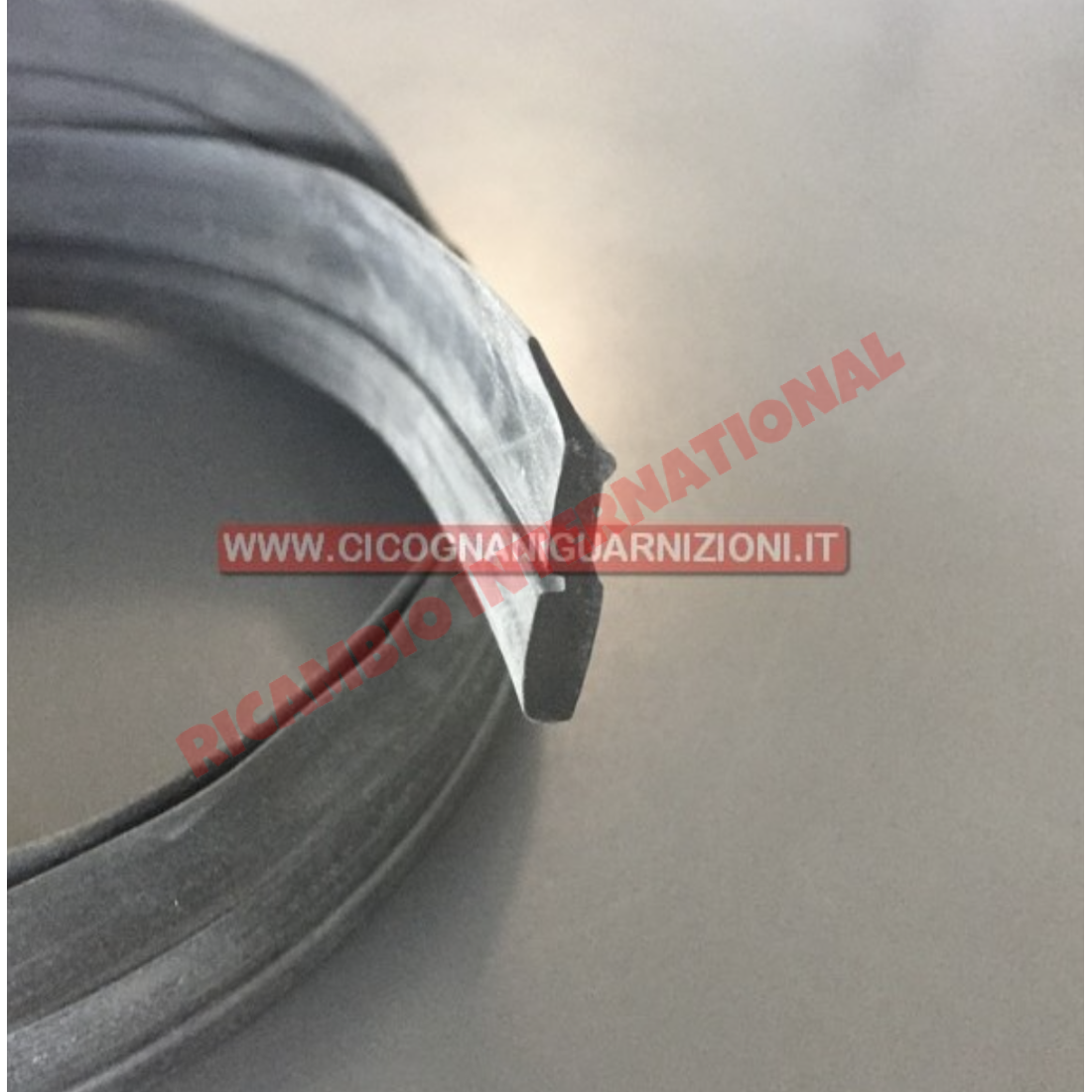 External Door Glass Scraper Seal Kit (BOTH DOORS) – Ricambio ...